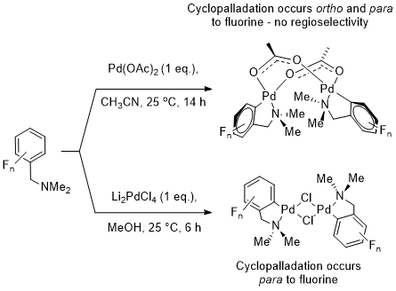 Metal Catalysis: C-X and C-H Bond Activation