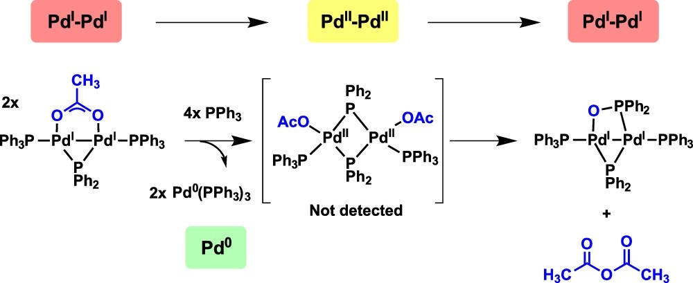 Publications: 2020 – 2024